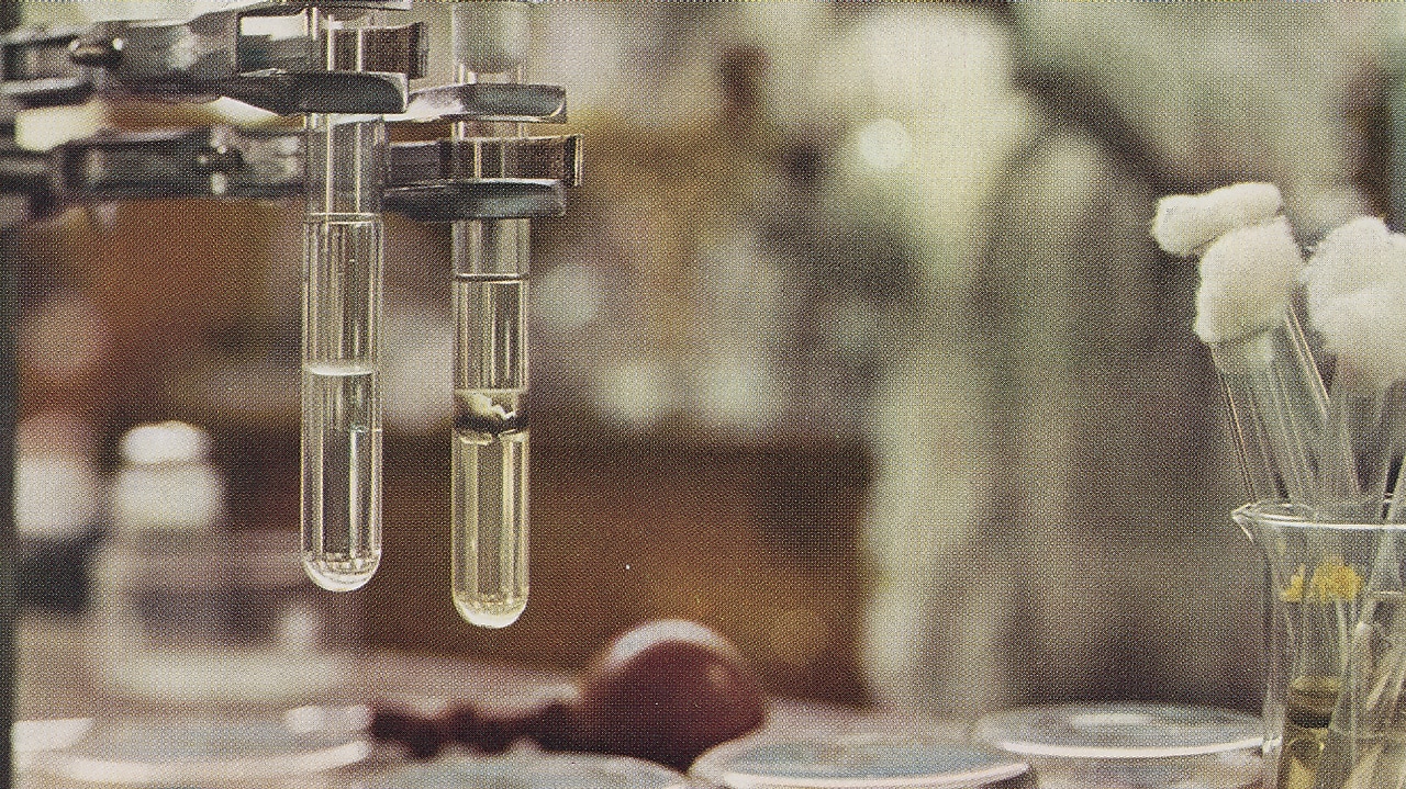 Solving the problem of kerosene fungus | Shell Global