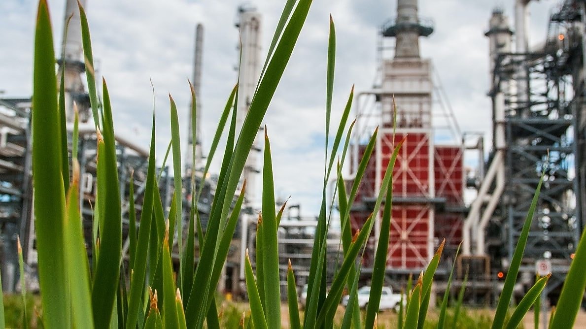 Why An Entrepreneurial Mindset Is Key To Energy Innovation | Shell Global