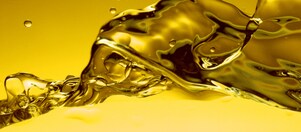 Perspectives Hub | Sustainability | Shell Global