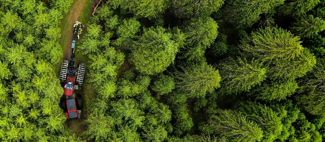 Shell PANOLIN | Biodegradable Lubricants | Shell Global