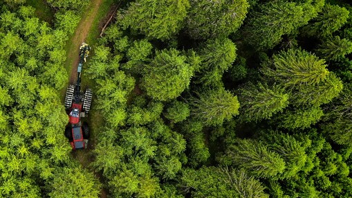 About Shell PANOLIN | Shell Lubricants Solutions | Shell Global