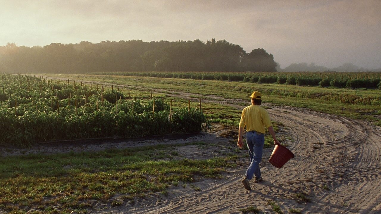 Next Generation Partnerships | Shell Global