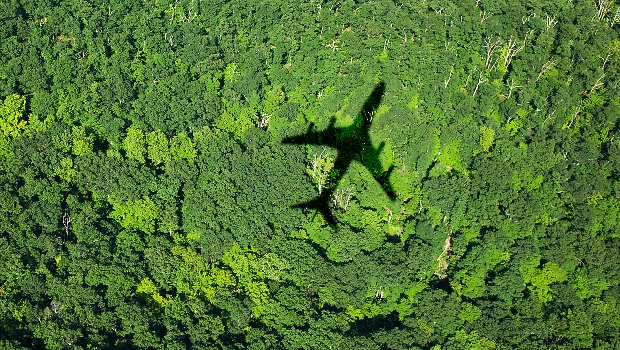 Marieke Verhoeven on why trust scales sustainable aviation fuel | Shell ...