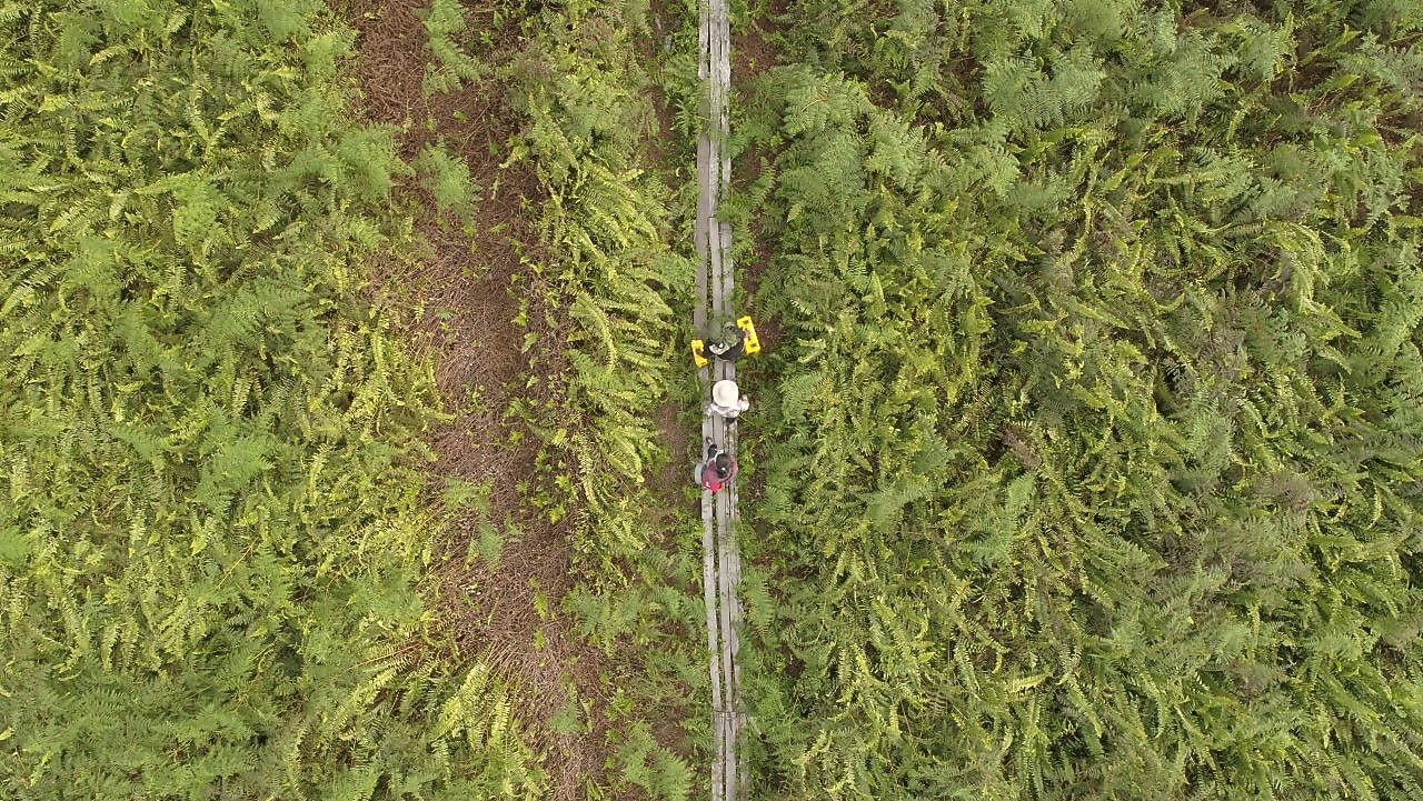 Offsetting remaining emissions | Shell Global