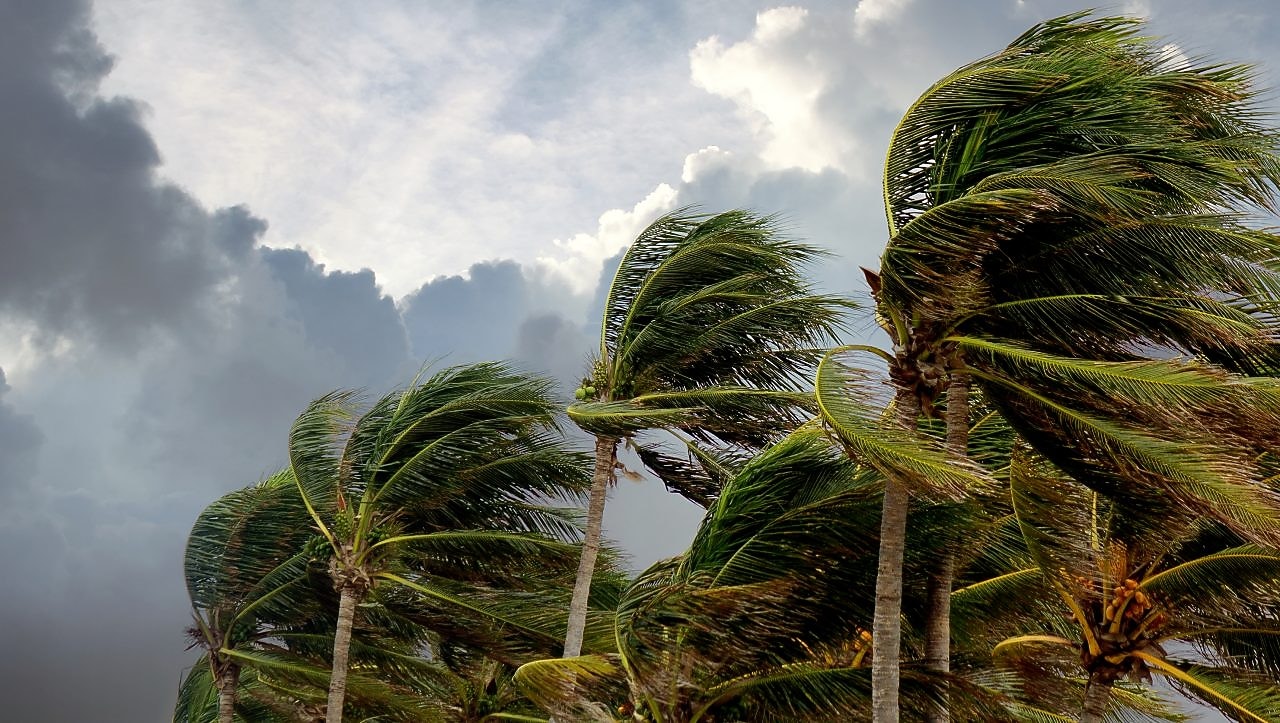 Producing gas with renewables – come rain or shine | Shell Global