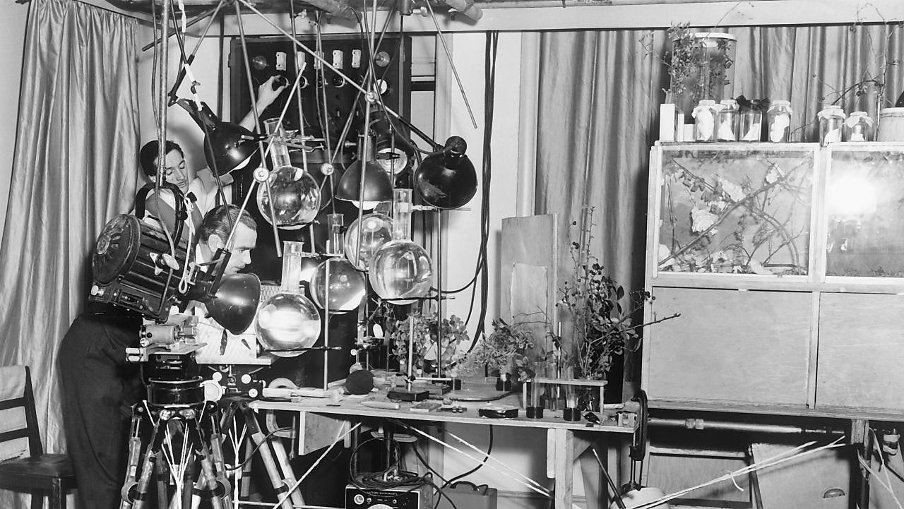 Shell’s pioneering films | Shell Global