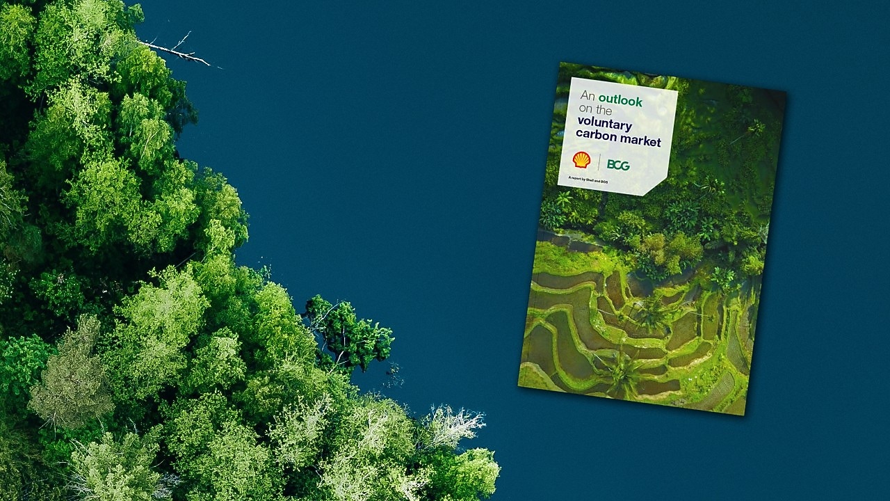 Exploring the future of the voluntary carbon market | Shell Global